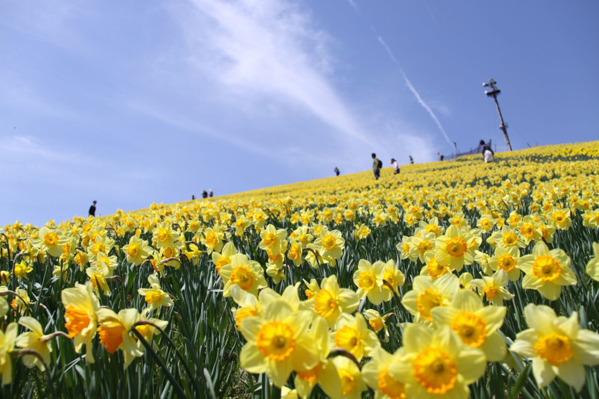 Biwako Vally and Biako Terrace | Biwako Hotel | Official Website